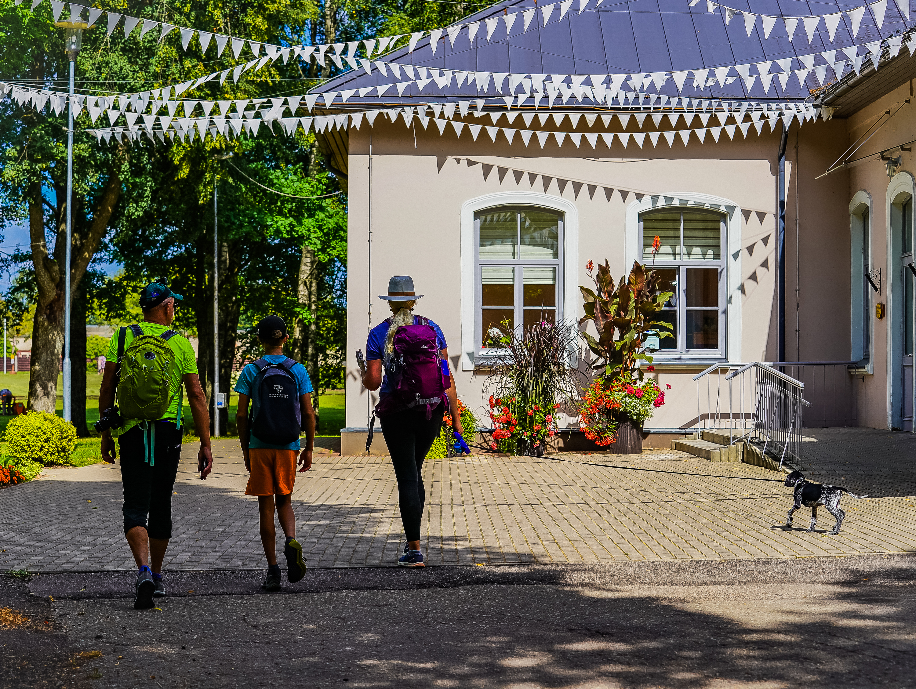 Baltic Forest Hiking Gallery