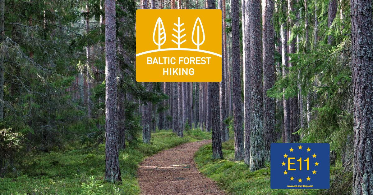 Baltic Forest Hiking