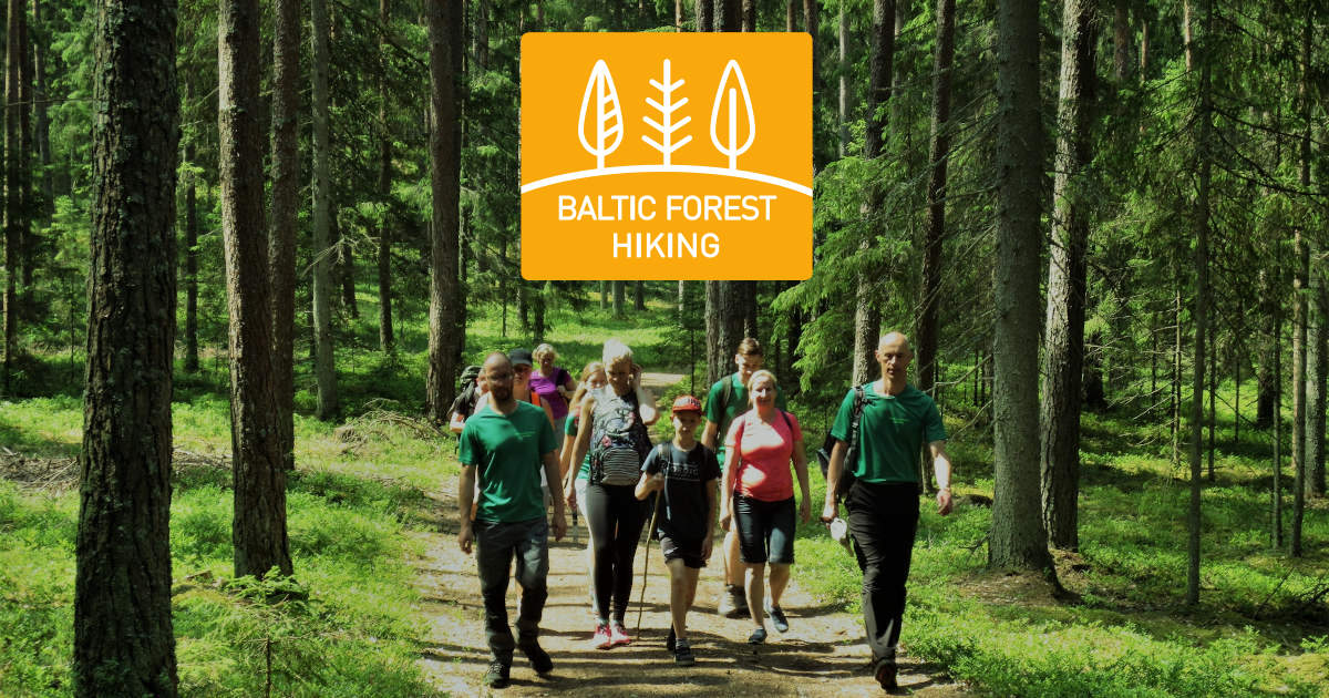 Baltic Forest Hiking